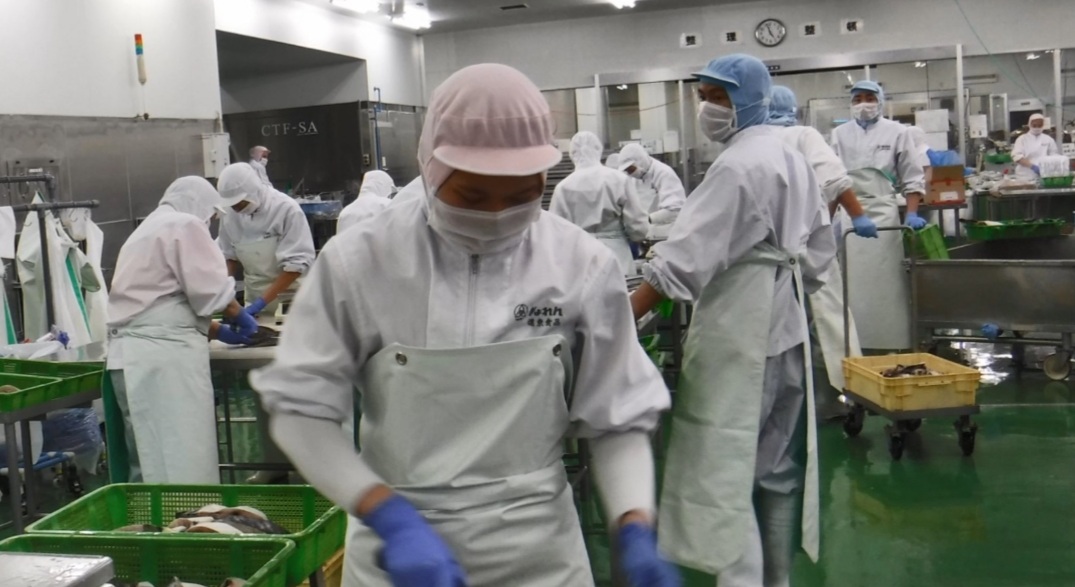 ĐƠN HÀNG CHẾ BIẾN THỦY SẢN XKLD - Xuất Khẩu Lao Động Nhật bản